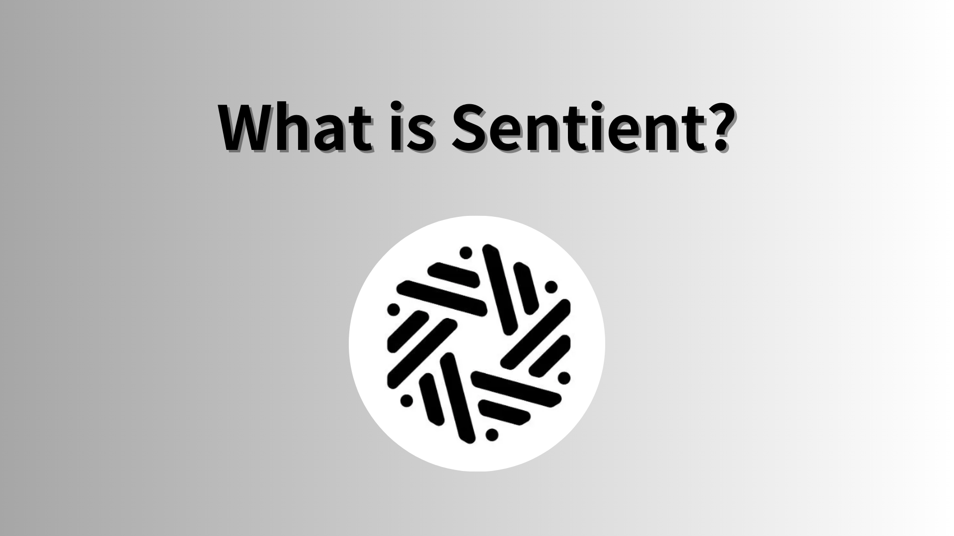 Sentient（センティエント） | TSUDOI