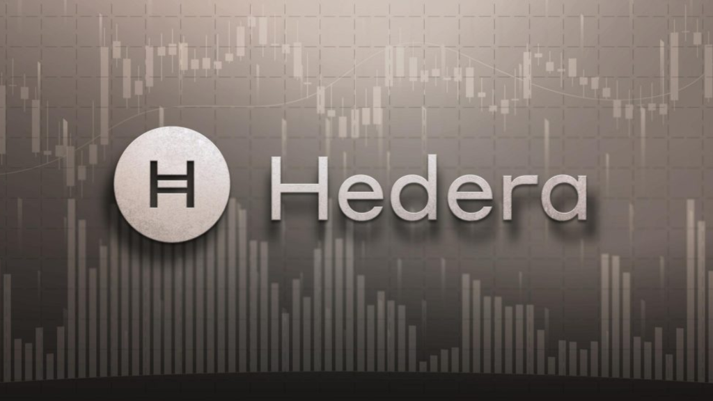 Hedera（ヘデラ） | TSUDOI