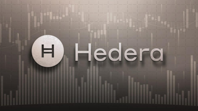 Hedera（ヘデラ） | TSUDOI